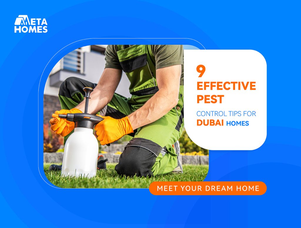9 Effective Pest Control Tips for Dubai Homes